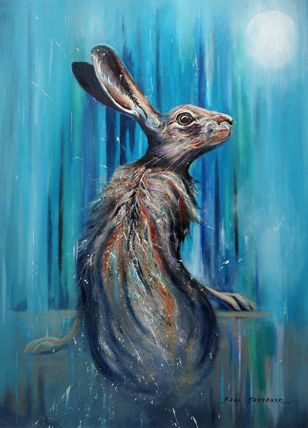 Moon Gazer | Paul Tavernor