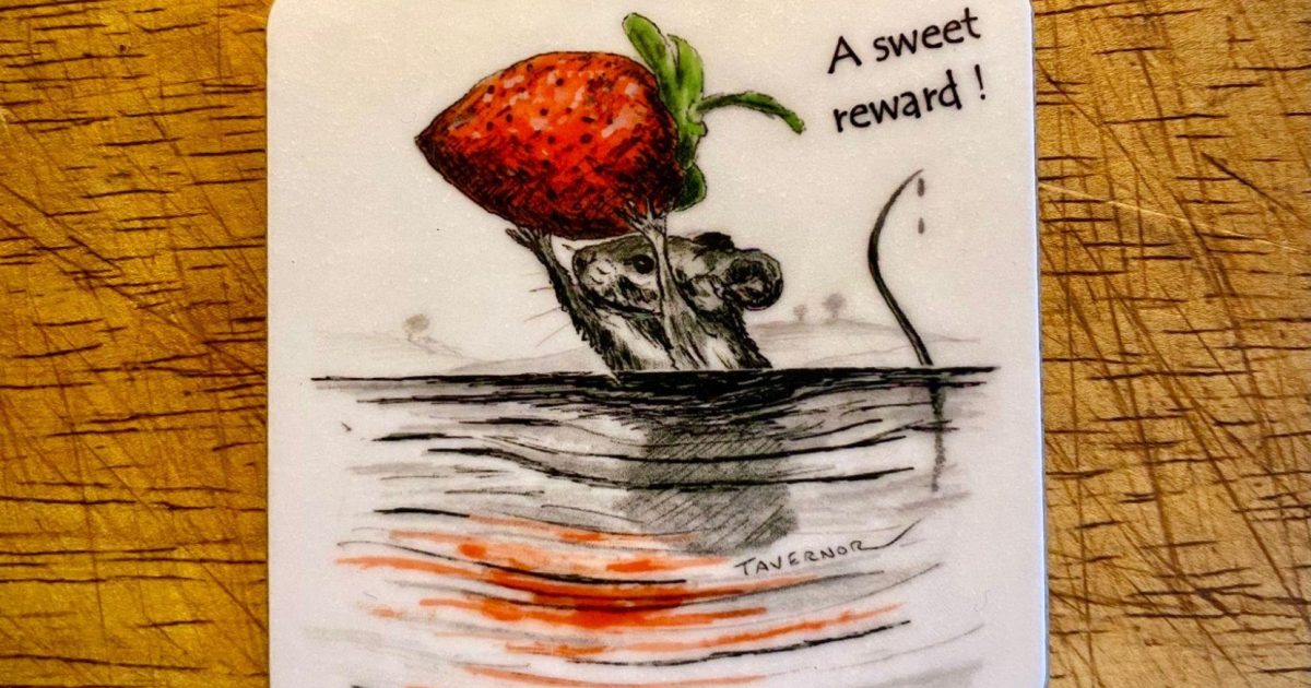 Sweet Reward Fridge Magnet | Paul Tavernor