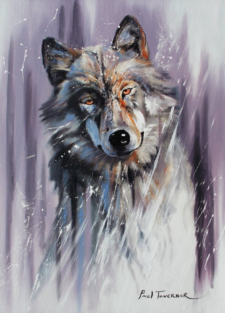 Evening Shadows | Paul Tavernor